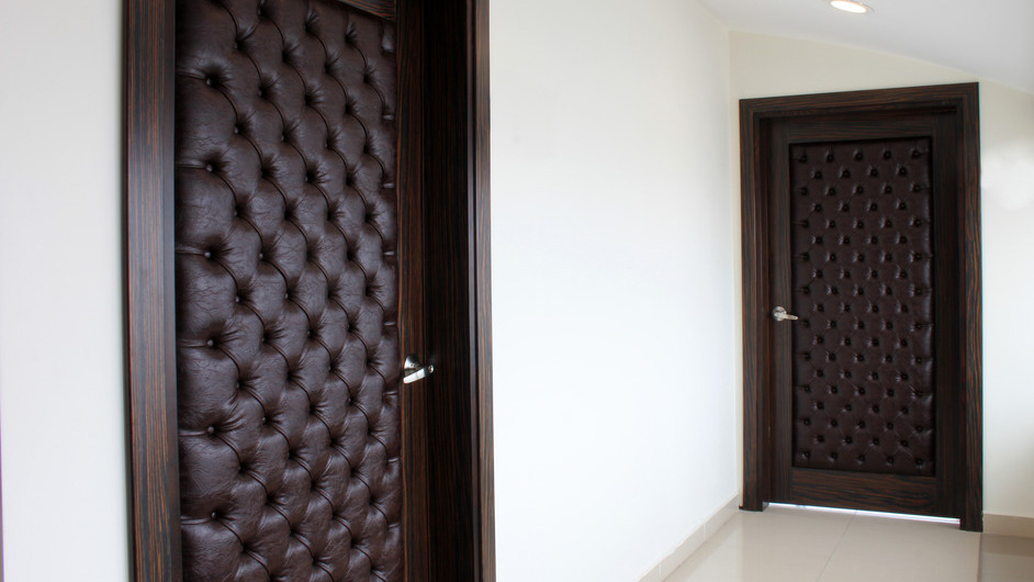 Diverse Door Collection Dataset: A Unique Array of Door Images for AI