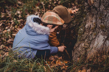 Captivating Fall Scenarios Dataset: Diversity and Unity in Every Frame ...