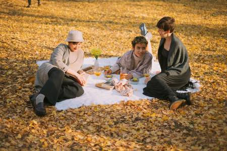 Captivating Fall Scenarios Dataset: Diversity and Unity in Every Frame ...