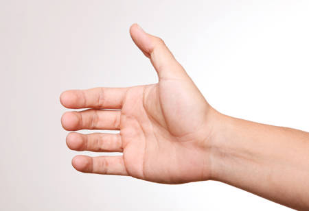 Hand Palm Recognition Dataset: AI for Security