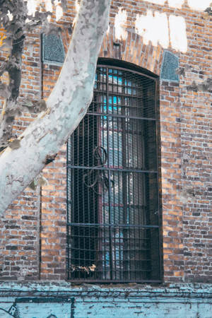 Diverse Windows Collection Dataset: A Unique Array of Window Images for AI