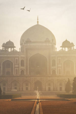 Explore the Globe with Our World Travel Collection