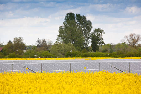 Optimizing Solar Energy: Collection Dataset for AI Training