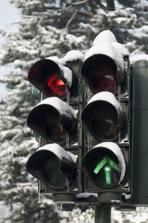Urban Signals: Traffic Light Dataset - AI Vision